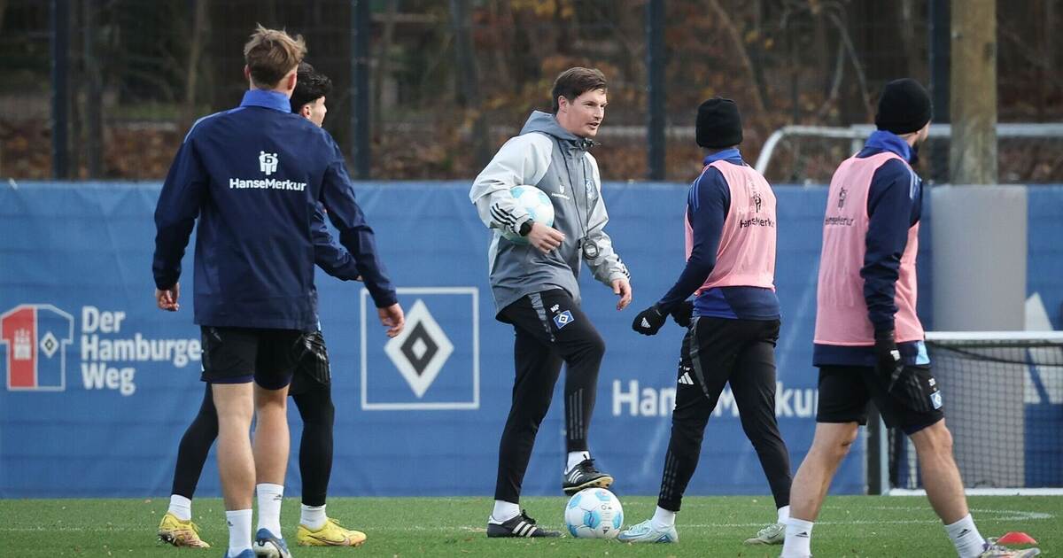 Polzin über HSV-Aufstieg: «Finden wieder in die Spur» - Sport weltweit ...