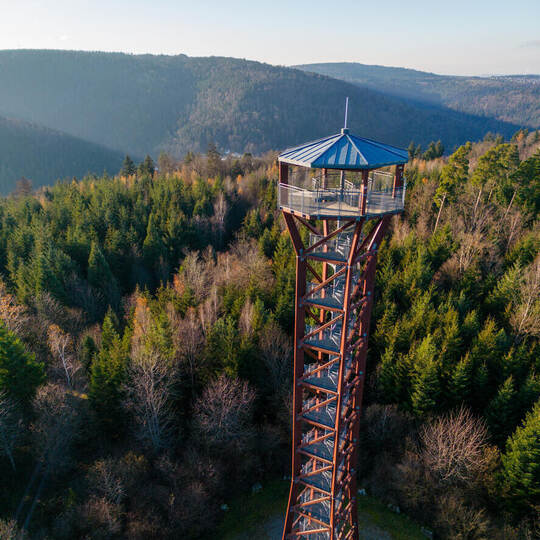Nach Tragödie an der Hohen Warte: Elternabend am Hebel-Gymnasium ...