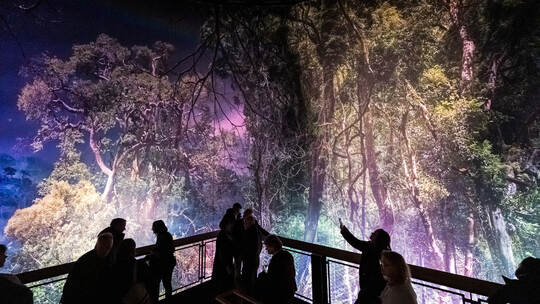 Das neue Panorama „Amazonien“ im Gasometer Pforzheim zeigt die ...