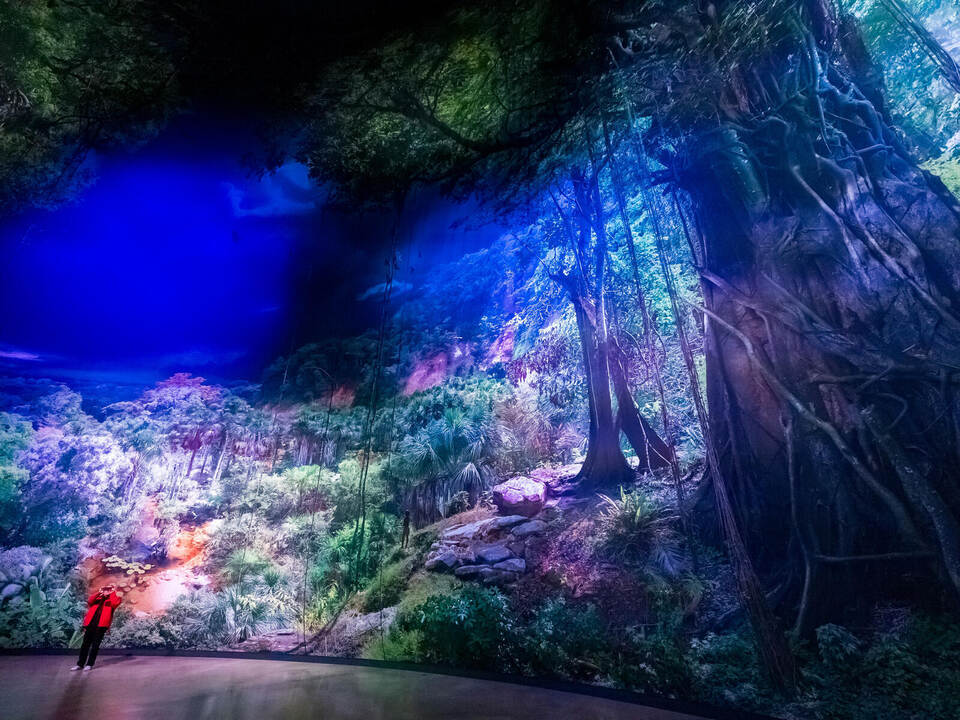 Das neue Panorama „Amazonien“ im Gasometer Pforzheim zeigt die ...