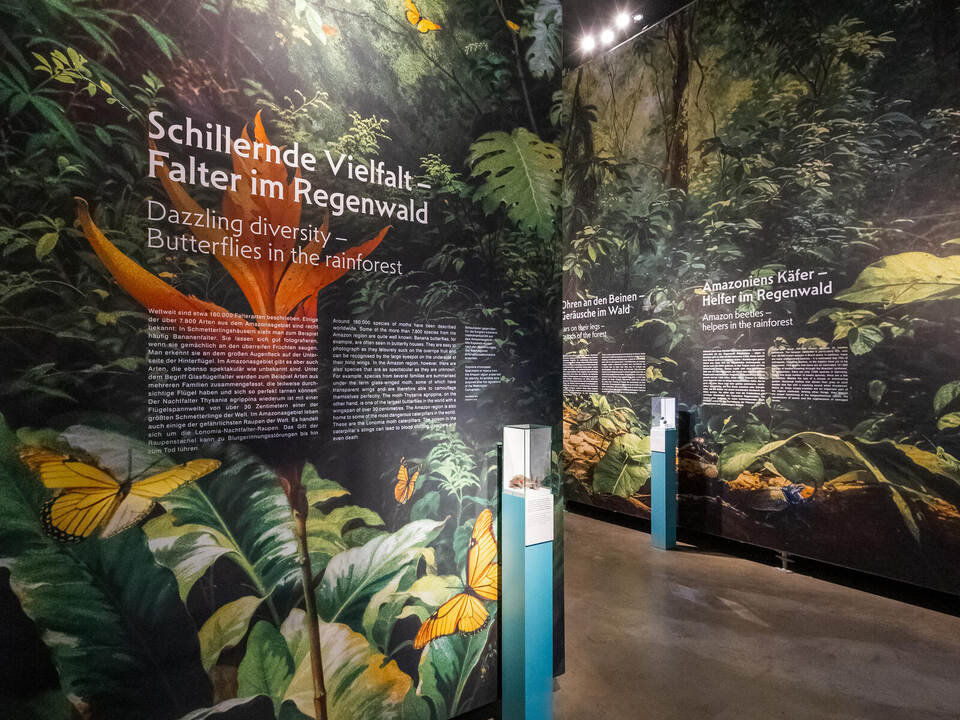 Das neue Panorama „Amazonien“ im Gasometer Pforzheim zeigt die ...