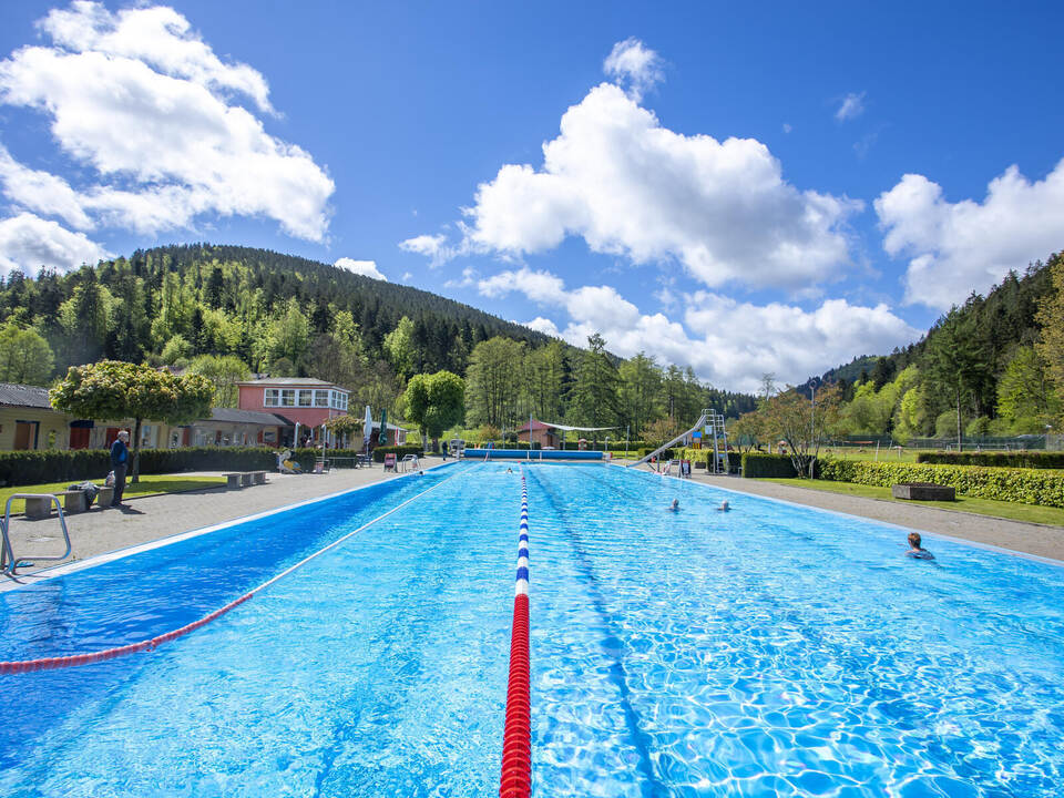 Kommt Tunnel für Fußgänger in Calmbach? - Region - Pforzheimer-Zeitung