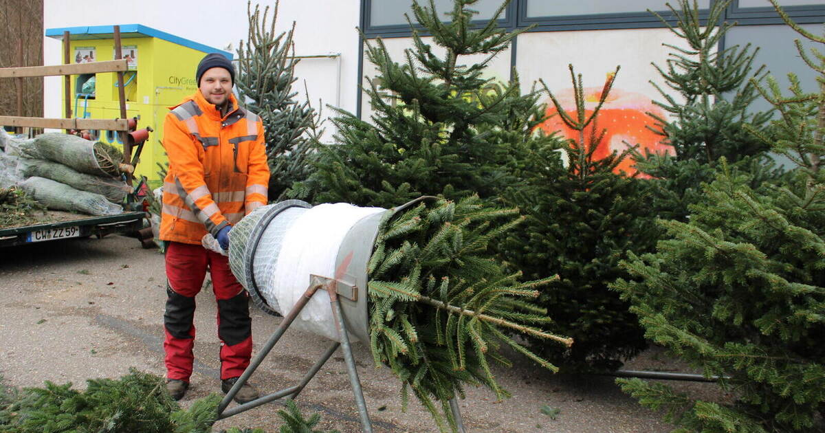 Frisch von der Plantage: Wie eine Familie im Nordschwarzwald ...