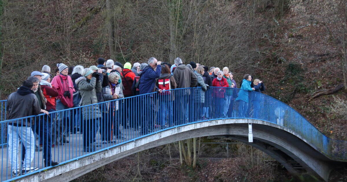 Tierische Exkursion vor der Haustüre: Ein Wissensspaziergang durch ...
