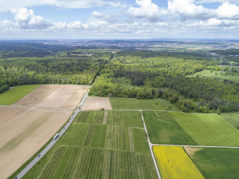 Neulinger Windkraftpläne gegen Maulbronner Welterbe-Status: Was hat ein ...