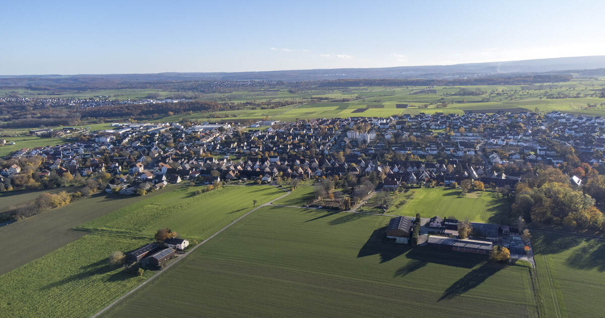 Bundestagswahl 2025: So hat Neulingen gewählt - Region - Pforzheimer ...