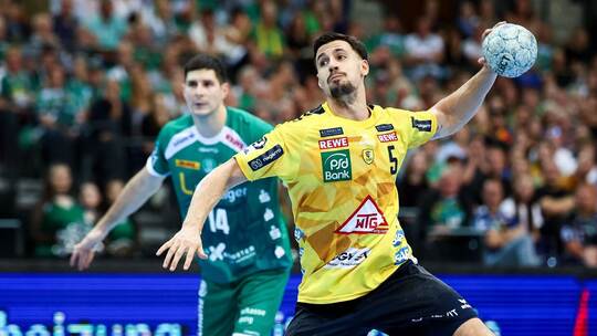Rhein-Neckar Löwen mehrere Wochen ohne Martinovic - Baden-Württemberg ...