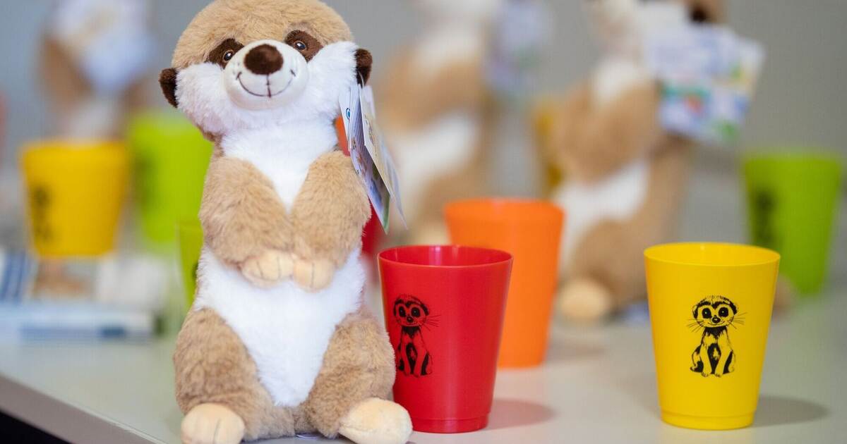 Gefängnis-Maskottchen Toni aus der JVA Heimsheim ist begehrt - Region ...