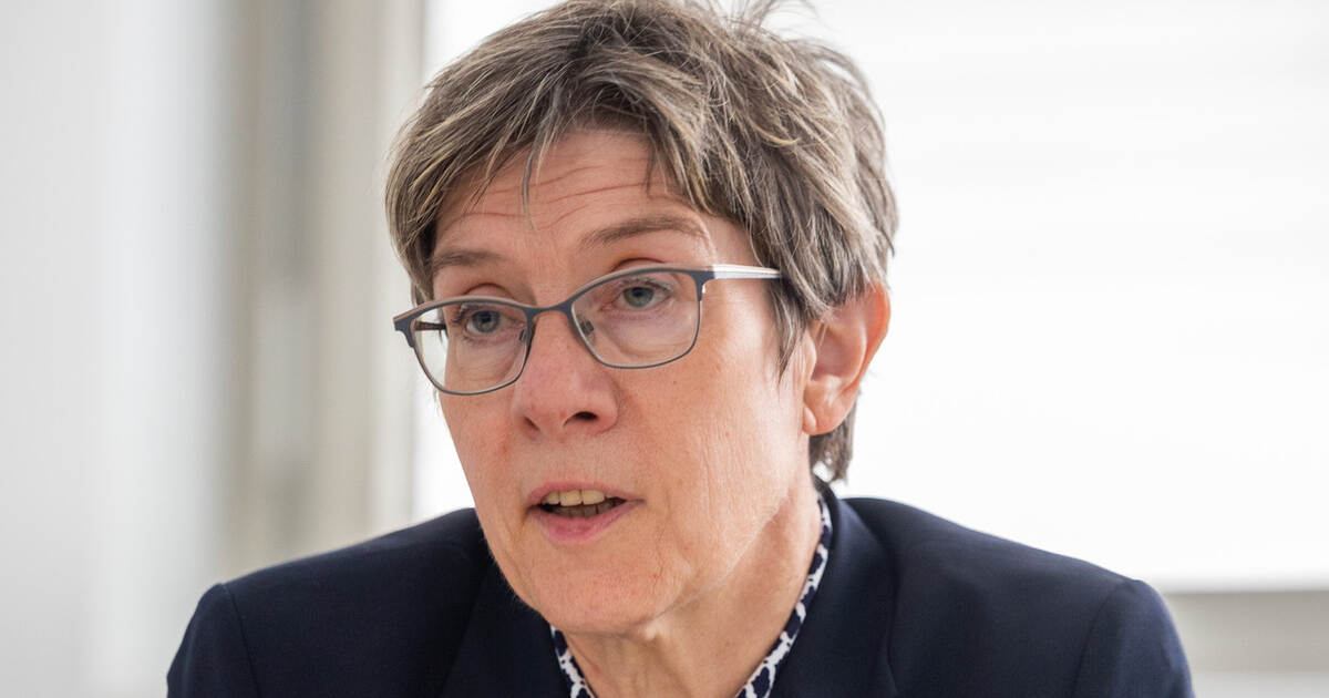 „Brauchen mehr Kräfte, um verteidigungsbereit zu sein“: Ex ...