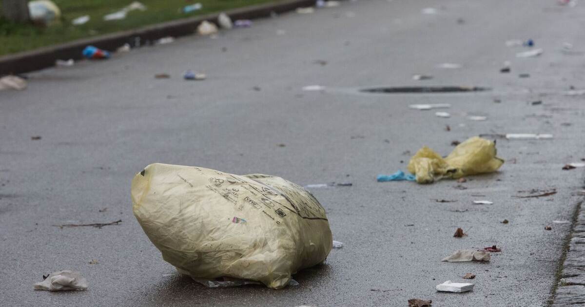 Pro und Contra: Gelbe Tonne oder Gelber Sack? - Baden-Württemberg ...