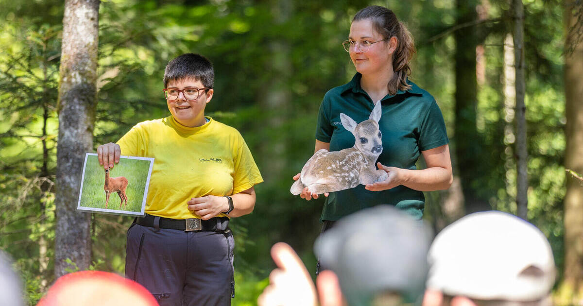 Unterrichtsstunde im Schömberger Wald: Warum der Hirsch nicht der Mann ...