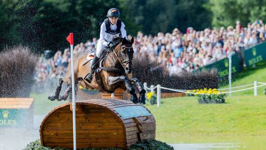 CHIO-Überraschung: Dressur-Star Werth geschlagen - Sport weltweit ...