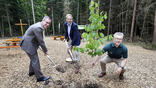 Letzte Ruhestätte im Wald: Neuer FriedWald in Friolzheim eröffnet ...