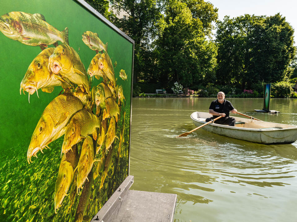 Mann aus Pforzheim fotografiert Spektakuläres im Süßwasser - und stellt ...