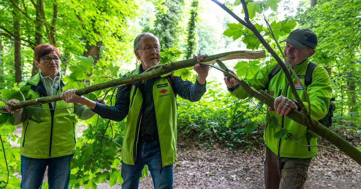 PZ begleitet drei Wegewarte: Was bedeuten die Rauten an Wanderwegen ...