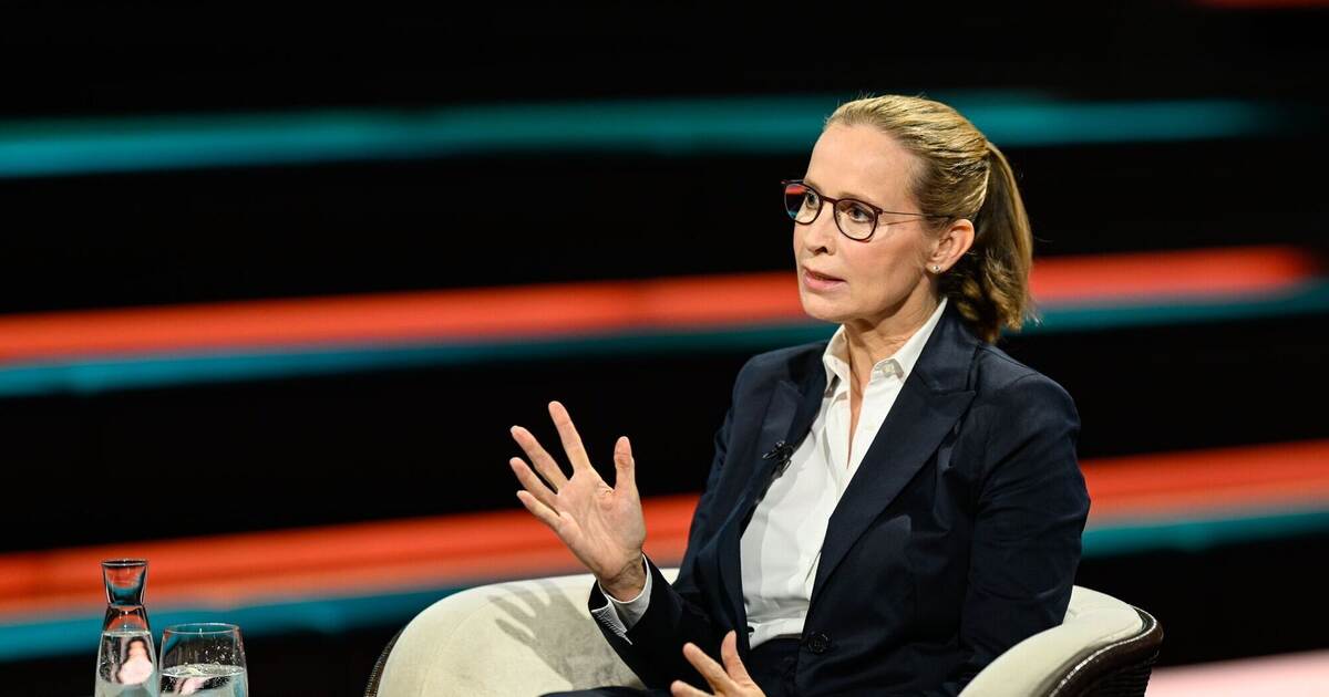 Gutachten sieht keinen Plagiatsverdacht bei Brosius-Gersdorf - Politik ...