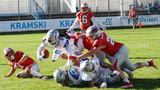 Brisantes Heimspiel der Pforzheimer Wilddogs gegen Paderborn Dolphins ...