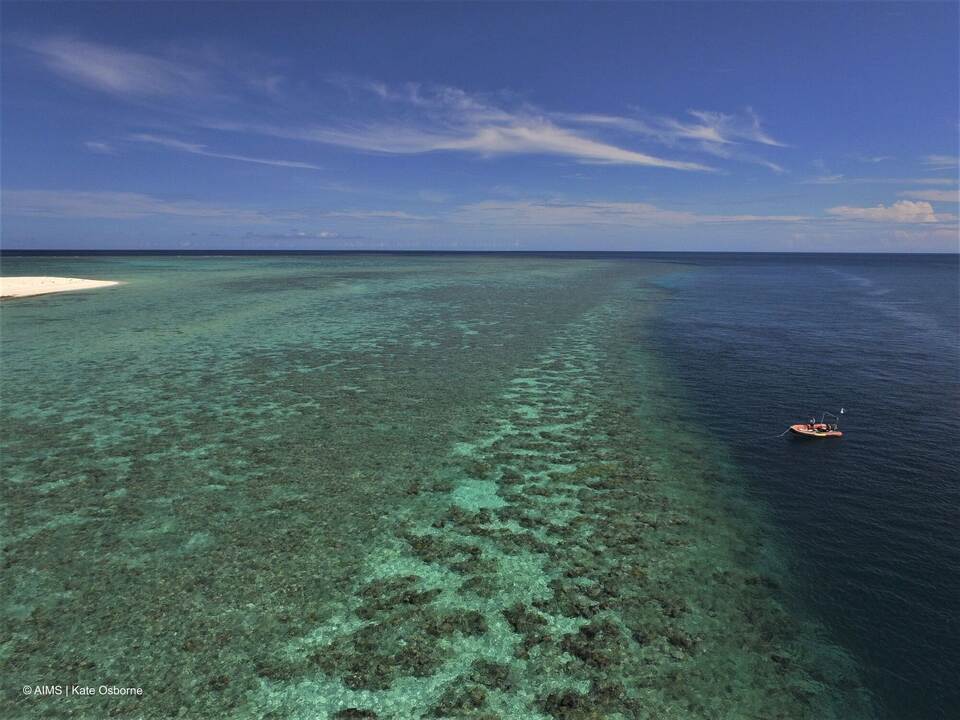 Riff am Limit: Great Barrier Reef verliert massiv Korallen - Service ...