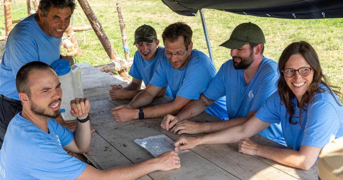 Gemeinschaft im Camp erleben ohne Handy: Royal Rangers auf dem ...