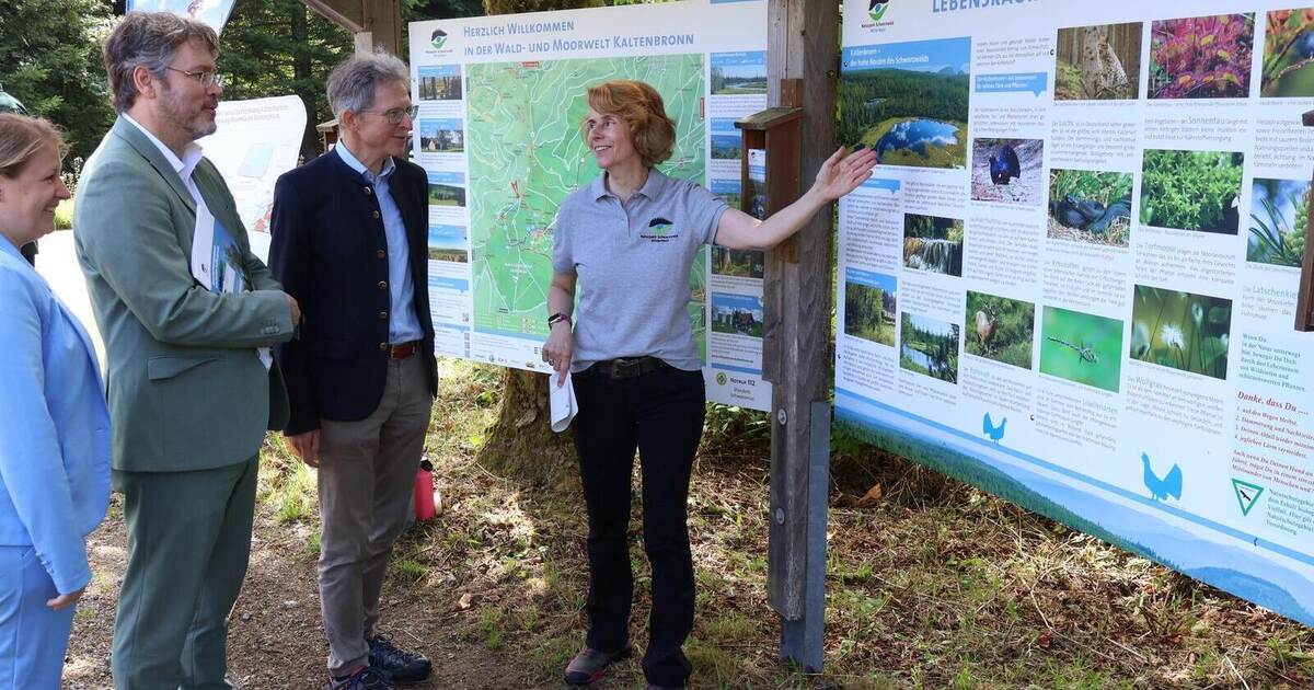 Neue Schilder sollen Besucher sensibilisieren: Kaltenbronn soll besser ...