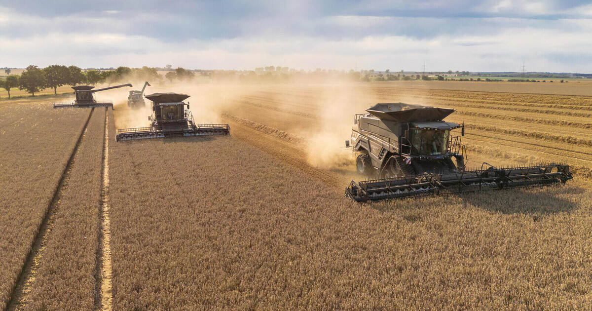 Weizenpreise im Keller: Sorge bei Landwirten im Enzkreis wächst ...