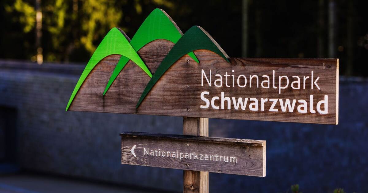 Ministerin zum Nationalpark: Weg für Erweiterung ist frei - Baden ...