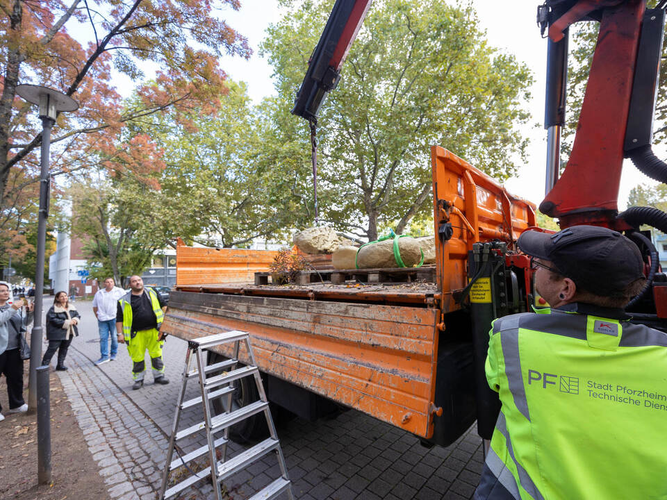 Aufpoliertes Flussgold: Goldsteine zurück am Pforzheimer Uferweg ...