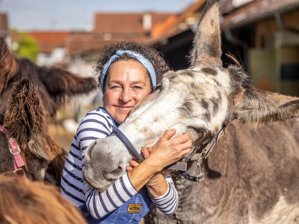 Seltene Poitou-Esel in Bretten: Michaela Martin teilt ihre Leidenschaft ...