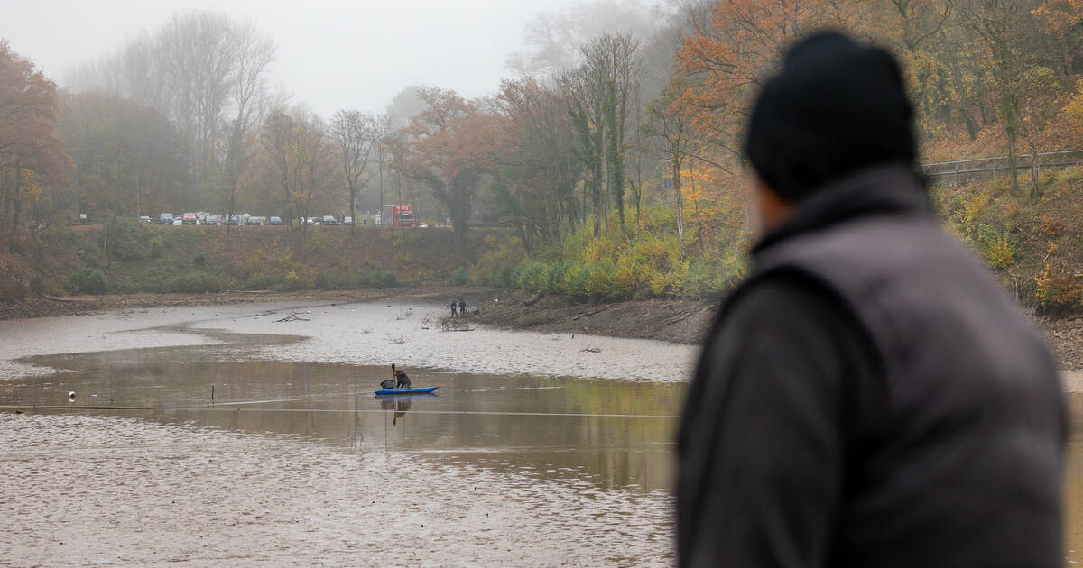 Historisch: Der Tiefe See in Maulbronn wird abgefischt - Bildergalerie ...