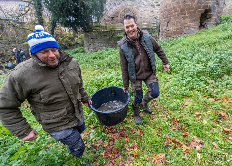 Fische, Schlamm und viel Einsatz: Tiefer See in Maulbronn wird geleert ...