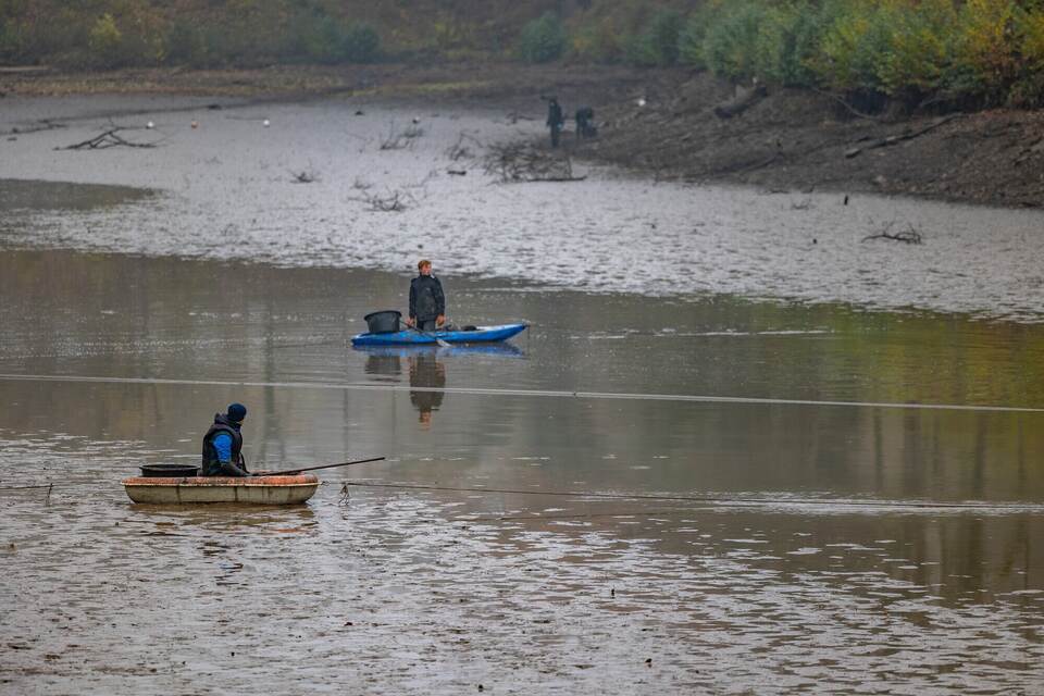 Fische, Schlamm und viel Einsatz: Tiefer See in Maulbronn wird geleert ...