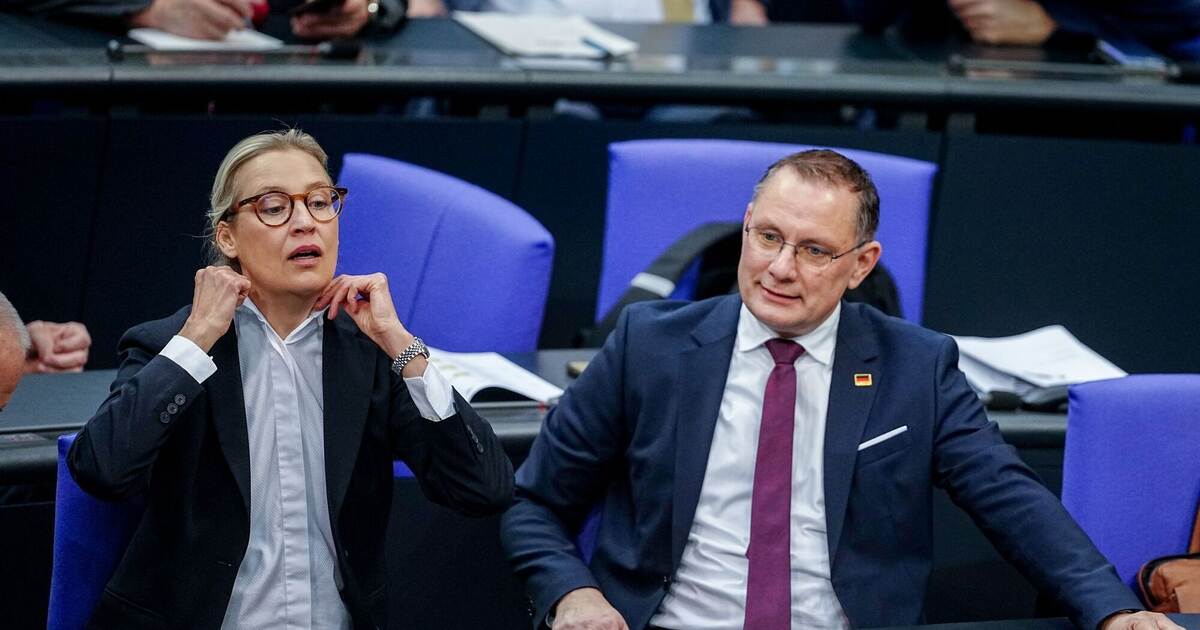 Familienunternehmer laden AfD ein – scharfe Kritik - Politik ...