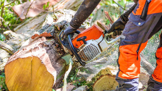 Mitte Januar: Würmtalstraße vom Kupferhammer bis zur Brücke in Würm ...
