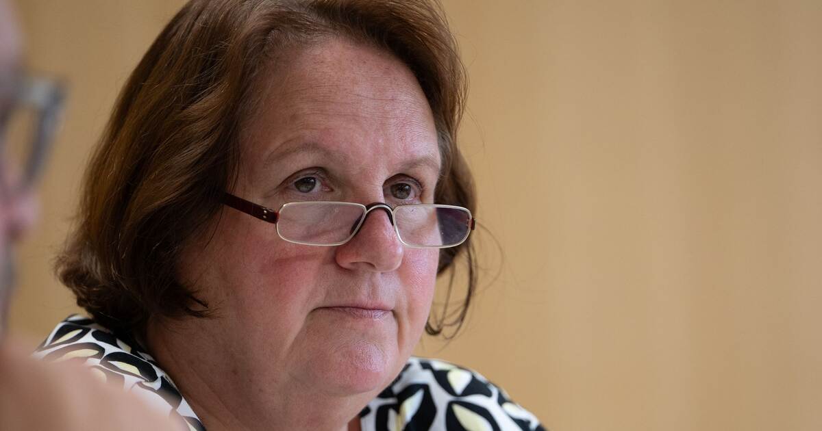 Kreise: Schopper wird neue Wohnungsbauministerin - Baden-Württemberg ...