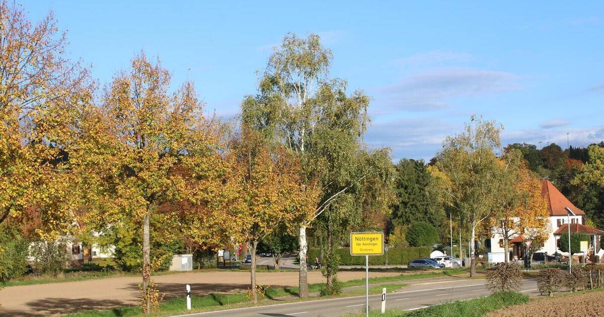 Norma in Nöttingen: Wann der Discounter eröffnen soll - Region ...