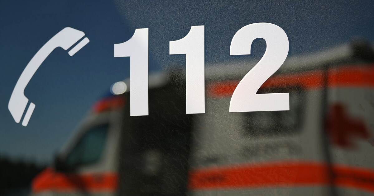 Ast erschlägt Senior bei Ausflug in Wald - Baden-Württemberg ...