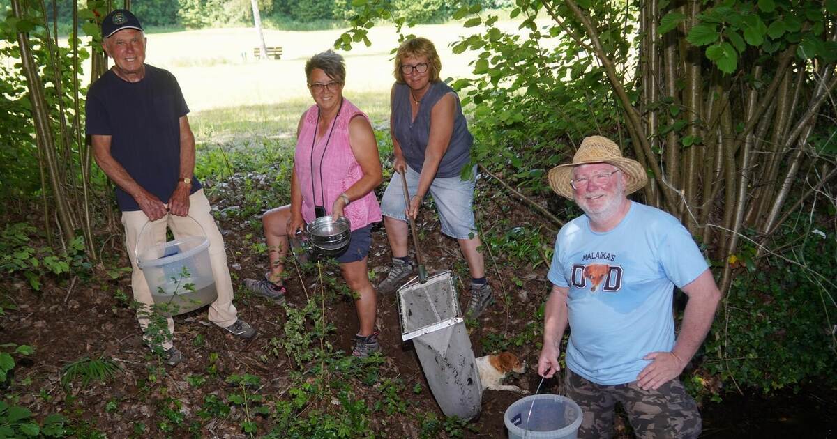 Im Bach werden Kinder zu Forschern: Daten für ein Projekt in Eisingen ...