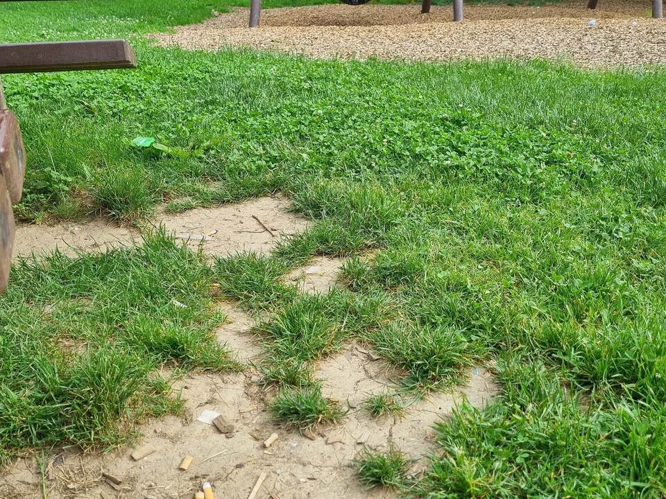 300 Kippen in zehn Minuten: Remchingen hat trotz Mülleimern ein großes ...