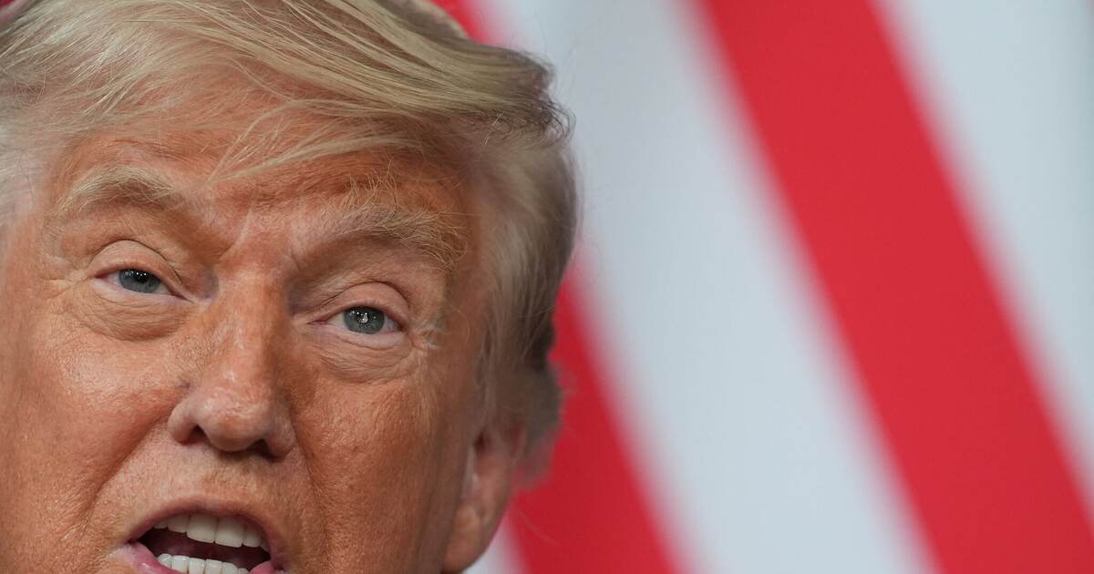 Ukraine, Rohstoffe, KI - G7 arbeiten wieder eng zusammen - Politik ...