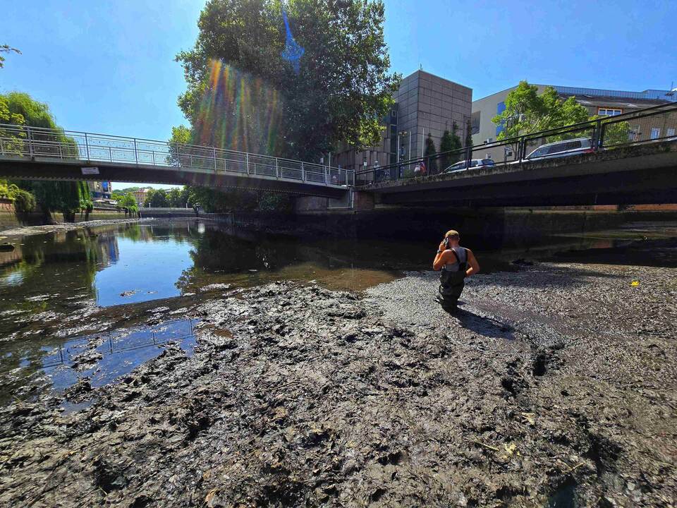 Enz-Monster in Gefahr: Warum Pforzheimer Fischer jetzt das Flussbett ...