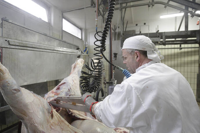 Vom Schwein zum Steak: Zu Besuch beim Schlachter - Bildergalerien ...