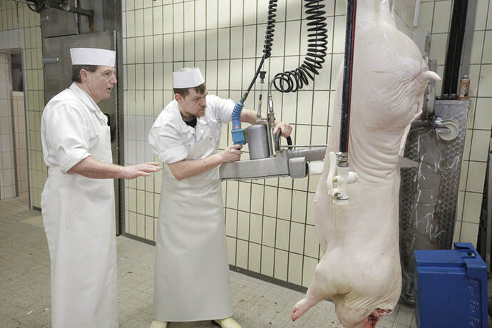 Vom Schwein zum Steak: Zu Besuch beim Schlachter - Bildergalerien ...