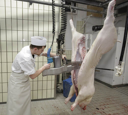 Vom Schwein zum Steak: Zu Besuch beim Schlachter - Bildergalerien ...