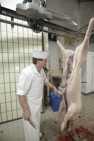 Vom Schwein zum Steak: Zu Besuch beim Schlachter - Bildergalerien ...