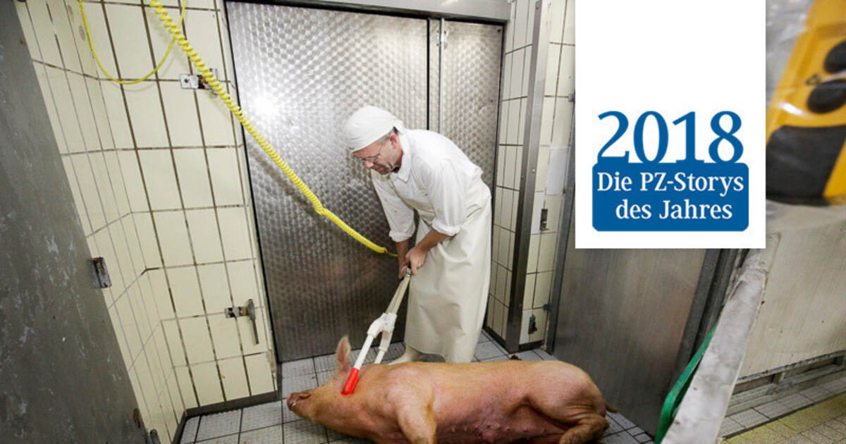 Wie entsteht mein Steak? So geht's beim Schlachter zu - Region ...