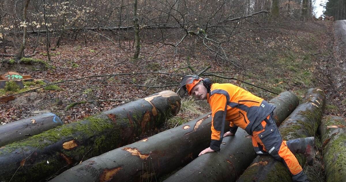 "Kein Promibonus": Thomas König wollte Boris Becker stoppen ...