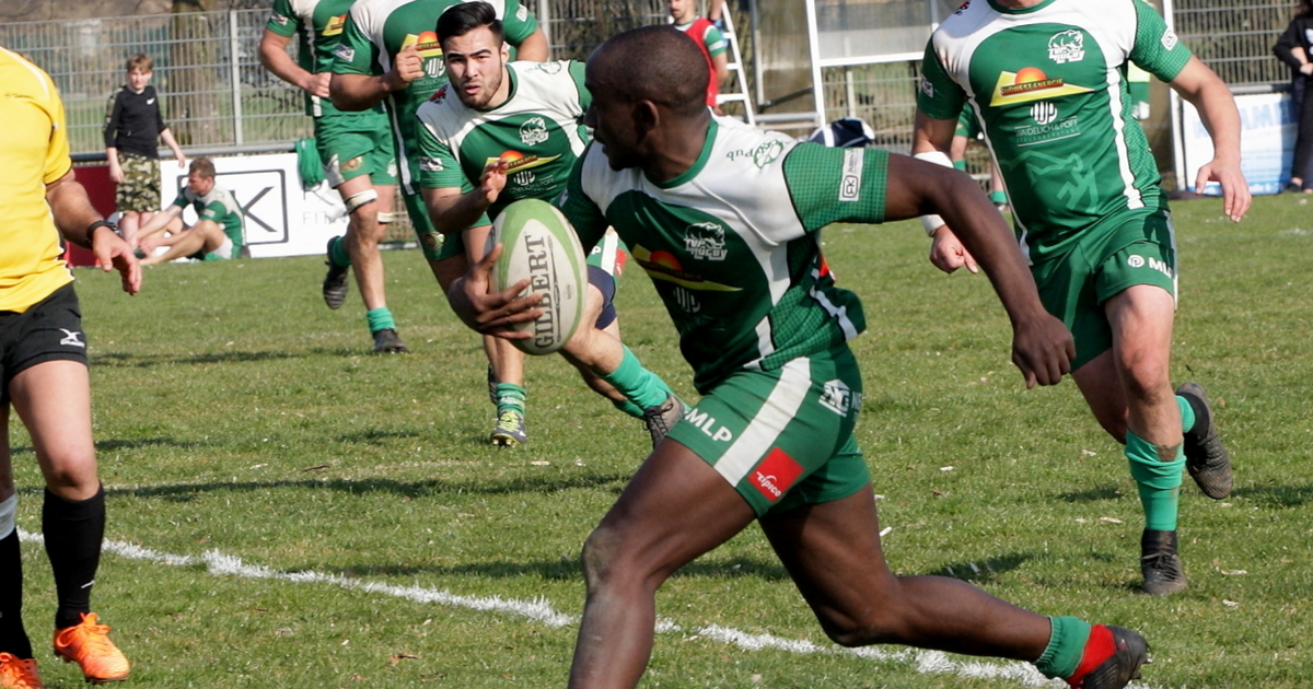Rugby-Bundesliga: Mutig gespielt, tapfer gekämpft, aber SG TC/CfR ...