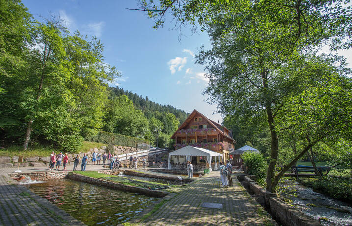 Schau mal wo du lebst ... bei Fischzucht Zordel im Eyachtal ...