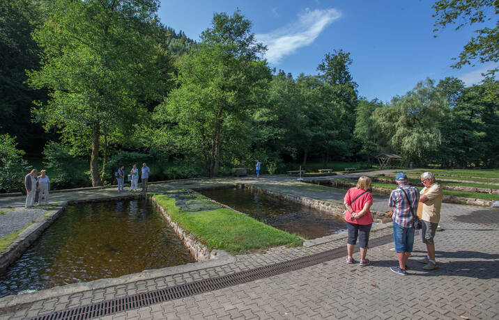 Schau mal wo du lebst ... bei Fischzucht Zordel im Eyachtal ...