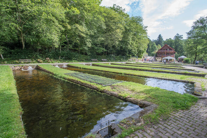 Schau mal wo du lebst ... bei Fischzucht Zordel im Eyachtal ...
